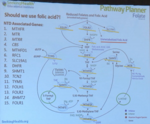 MTHFR and Pregnancy - MTHFR.Net